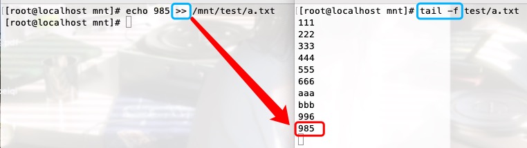 文件管理之基础命令 - IT必备知识